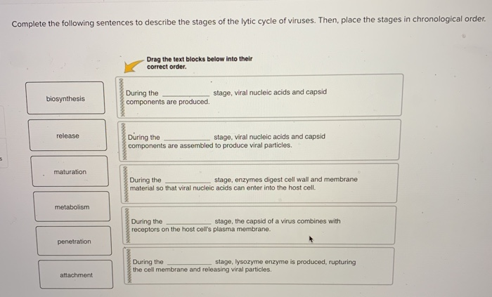 Solved Complete the following sentences to describe the | Chegg.com