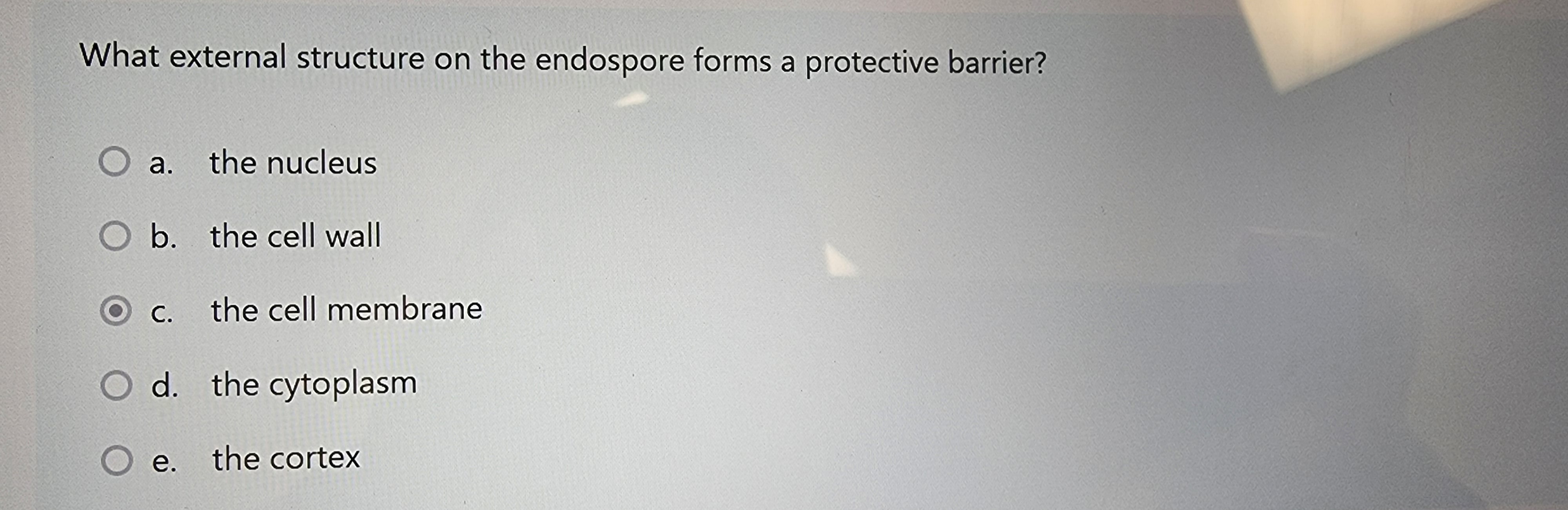 Solved What external structure on the endospore forms a | Chegg.com