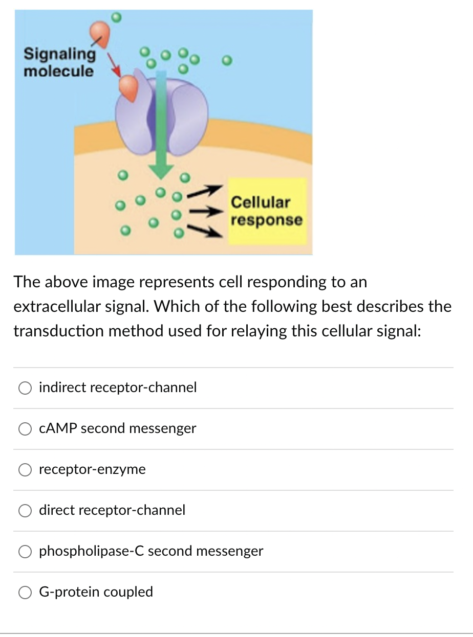 Solved The above image represents cell responding to | Chegg.com