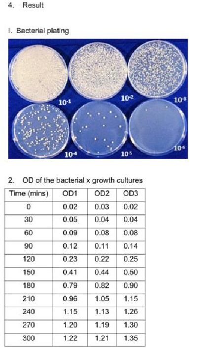 4. Result 1. Bacterial plating 102 10-1 10-3 10. 104 | Chegg.com
