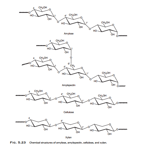Solved Please circle the glycerol portion on the following | Chegg.com