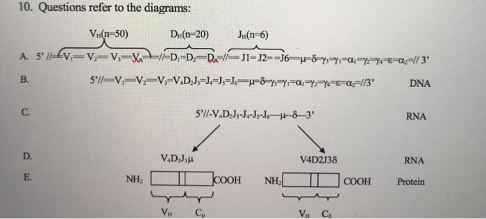 Solved 11: Isotype switching occurs when the B cell gets the | Chegg.com