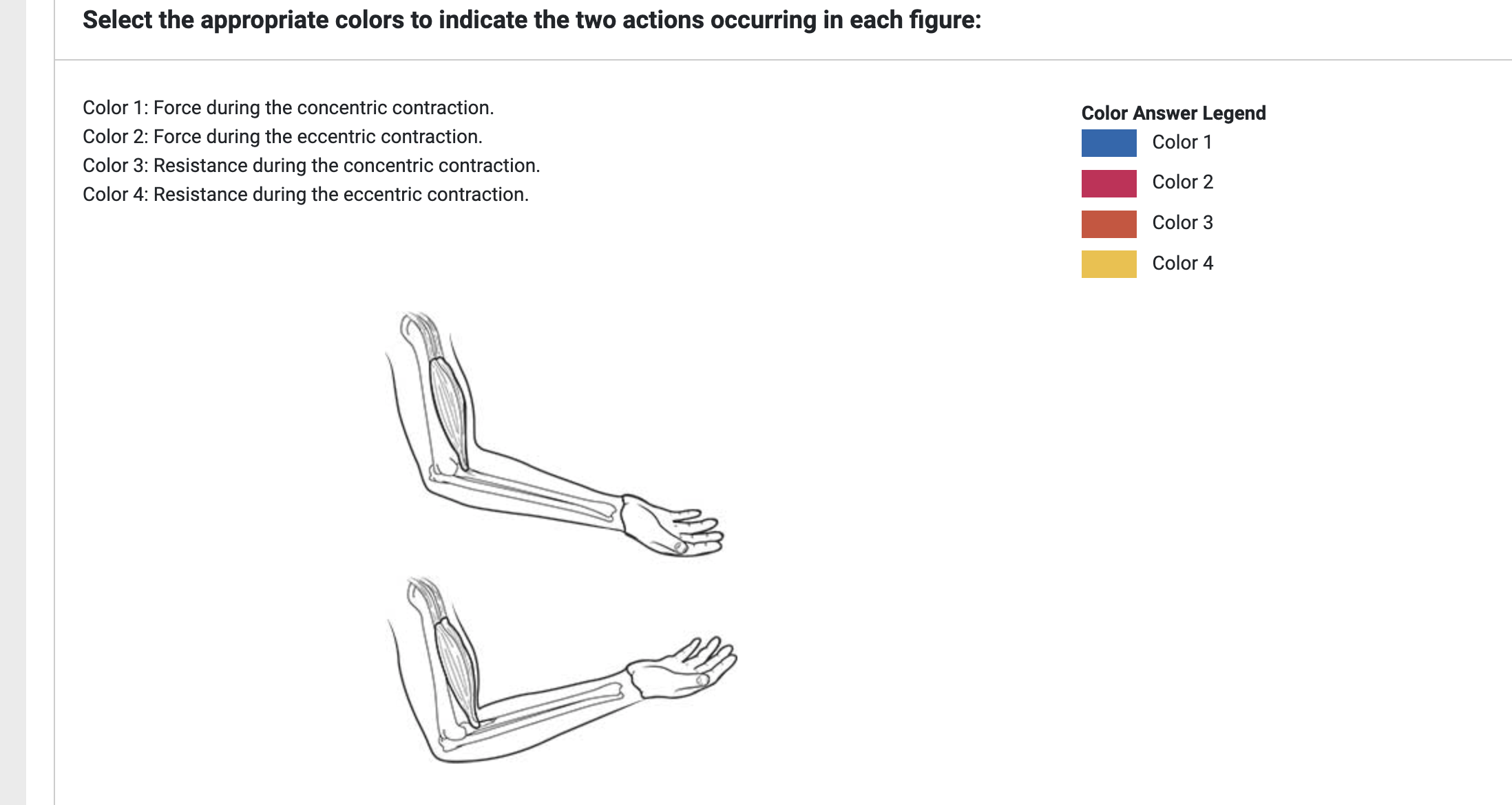 Solved Select the appropriate colors to indicate the two | Chegg.com