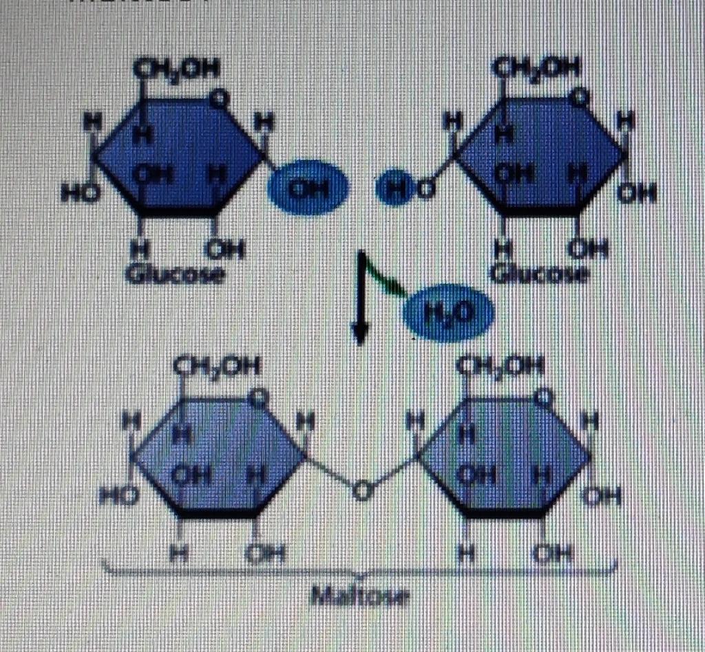 Solved Consider the figure shown below. What one | Chegg.com