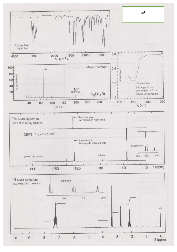 Solved Draw the structure and label each section to support | Chegg.com