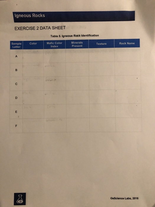 Solved: Gneous Rocks EXERCISE 2 DATA SHEET Table 5. Igneou... | Chegg.com