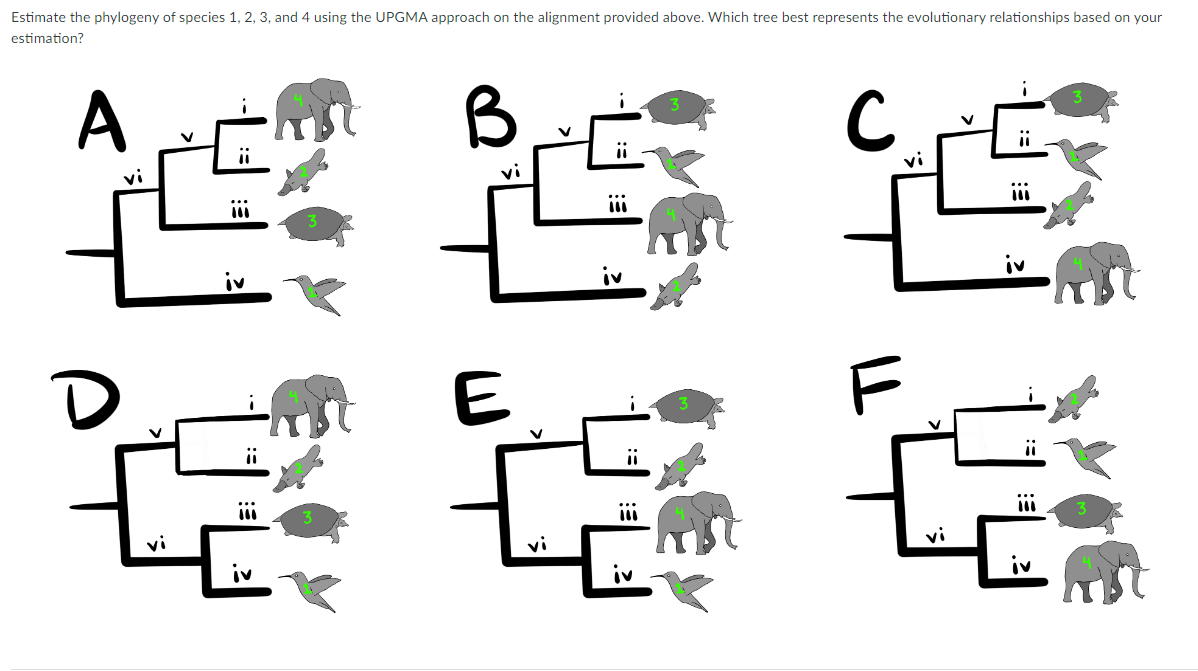 Solved Estimate the phylogeny of species 1, 2, 3, ﻿and 4 | Chegg.com
