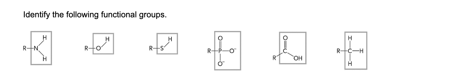 Solved Identify the following functional groups. | Chegg.com