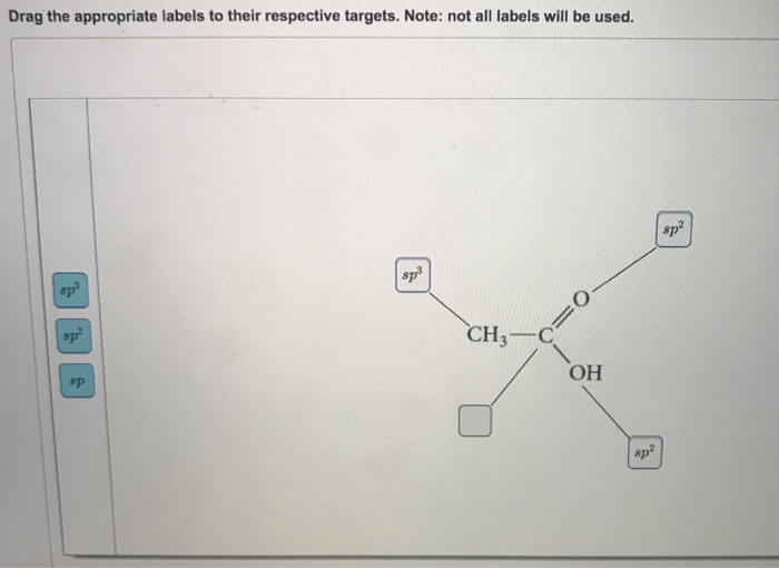 Solved Drag the appropriate labels to their respective | Chegg.com
