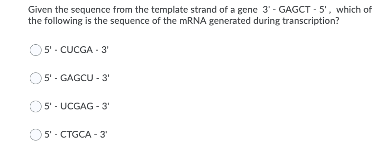 Solved Given the sequence from the template strand of a gene | Chegg.com