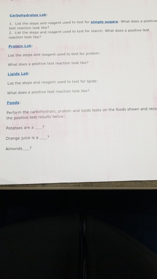 Solved Carbohydrates Lab 1. List the steps and reagent used | Chegg.com