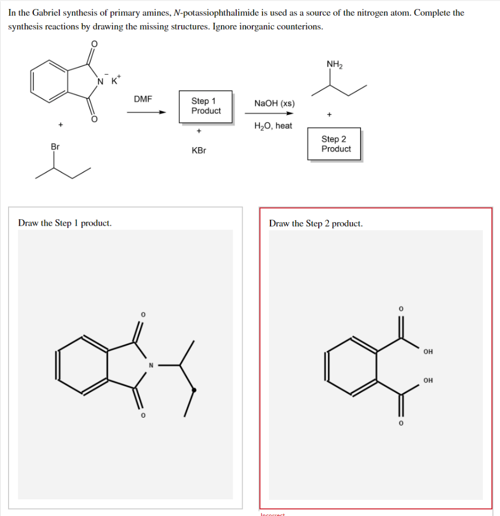 Solved In the Gabriel synthesis of primary amines, | Chegg.com