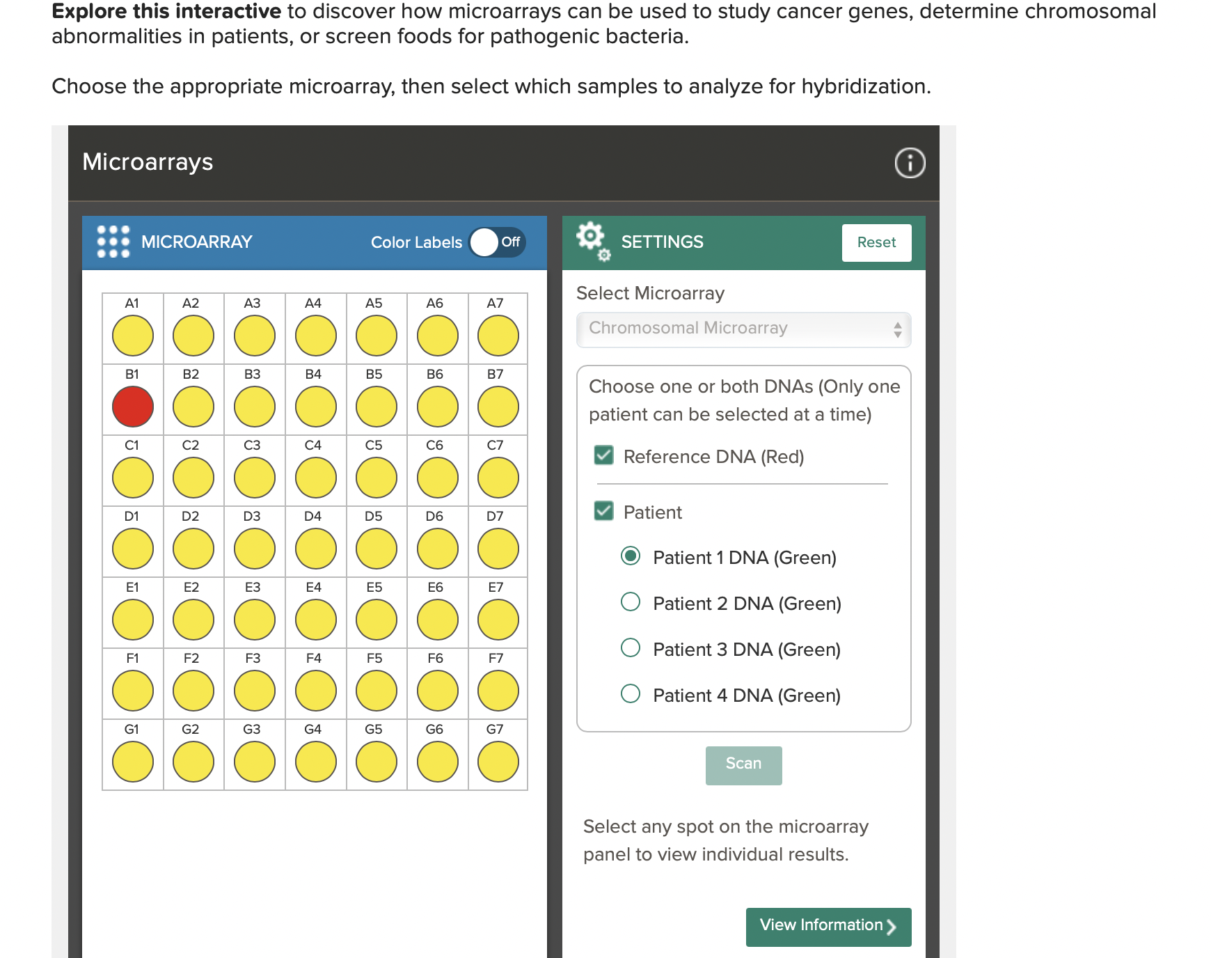 Solved Explore this interactive to discover how microarrays | Chegg.com