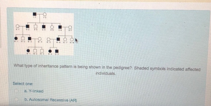 Solved I-2 What type of inheritance patten is being shown in | Chegg.com