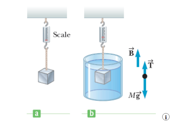 Solved Figure (a) below shows a metal block hanging from a | Chegg.com