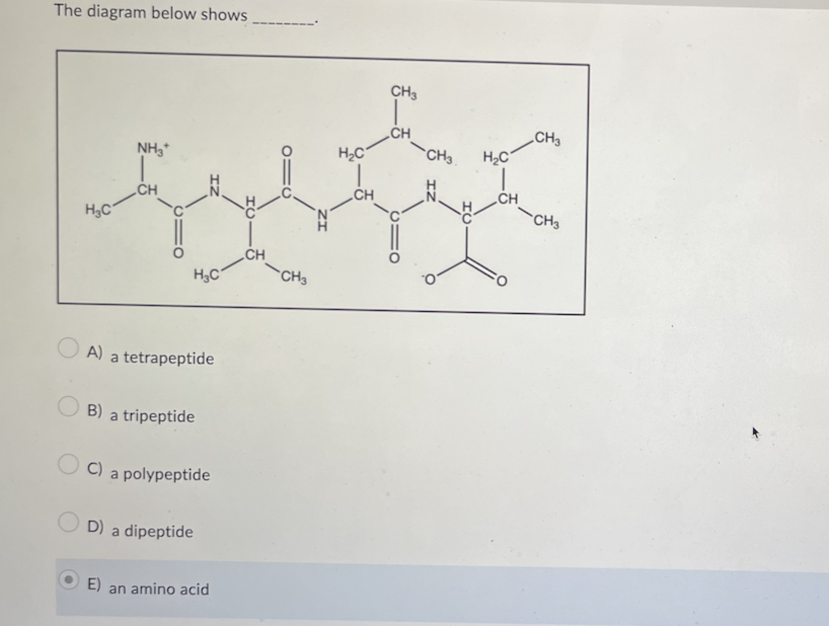 Solved The diagram below shows A) a tetrapeptide B) a | Chegg.com