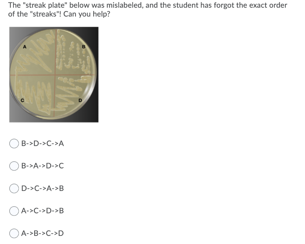 Solved The "streak plate" below was mislabeled, and the | Chegg.com