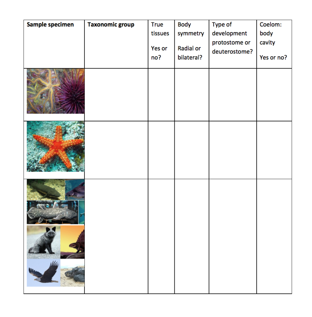 Solved Table 1. Selected animals and their characteristics. | Chegg.com