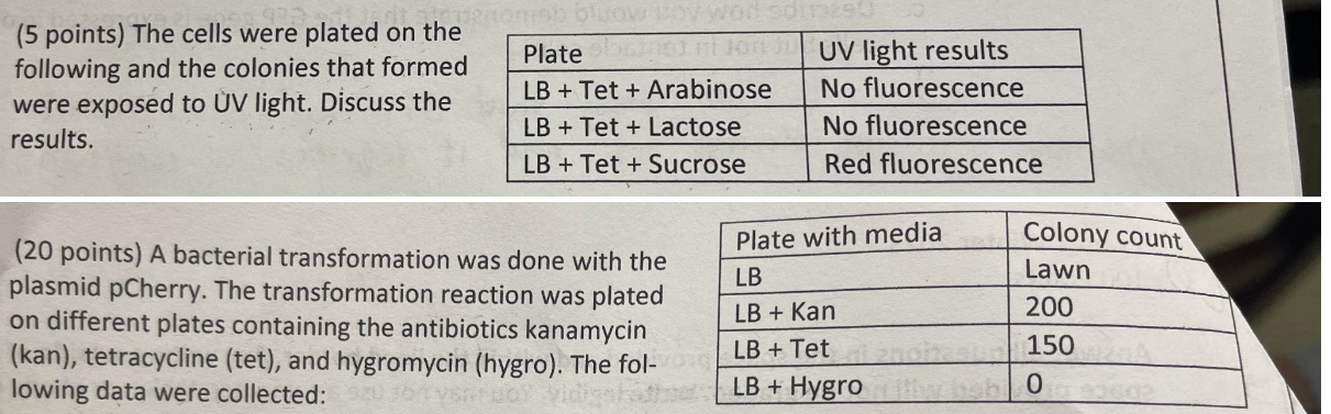 Solved Help with (5 points question), ( you can use the 20 | Chegg.com