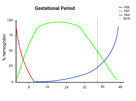 Solved QuestionInterpreting a Graph of Hemoglobin & Oxygen | Chegg.com