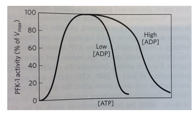 Solved The effect of ATP on the allosteric enzyme PFK-1 is | Chegg.com
