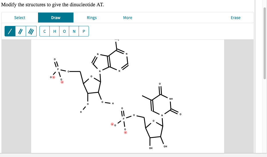 Solved The nucleotides adenosine‑5'‑monophosphate (A) and | Chegg.com