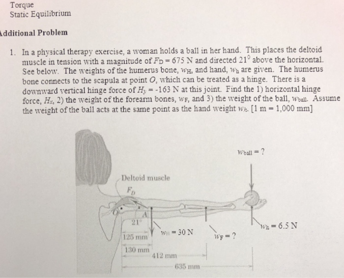 Solved Torque Static Equilibrium dditional Problem 1. In a | Chegg.com