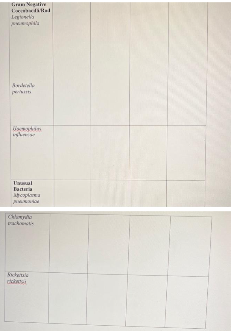 Solved Curved GNR Campylobacter jejumi Gram Negative Cocci | Chegg.com