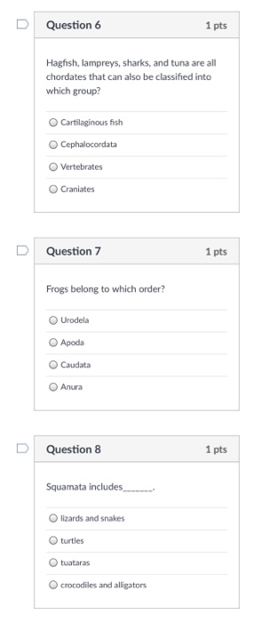 Solved D Question 6 1 pts Hagfish, lampreys, sharks, and | Chegg.com