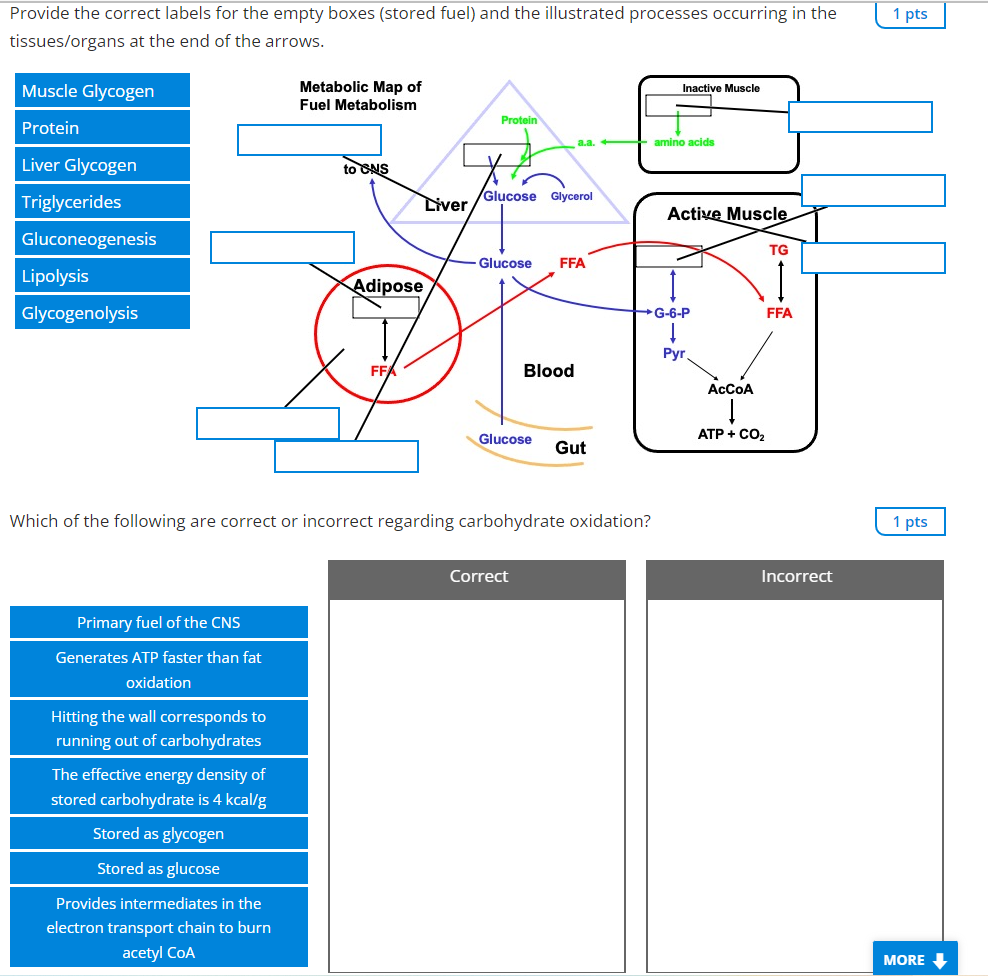 Solved Provide the correct labels for the empty boxes | Chegg.com
