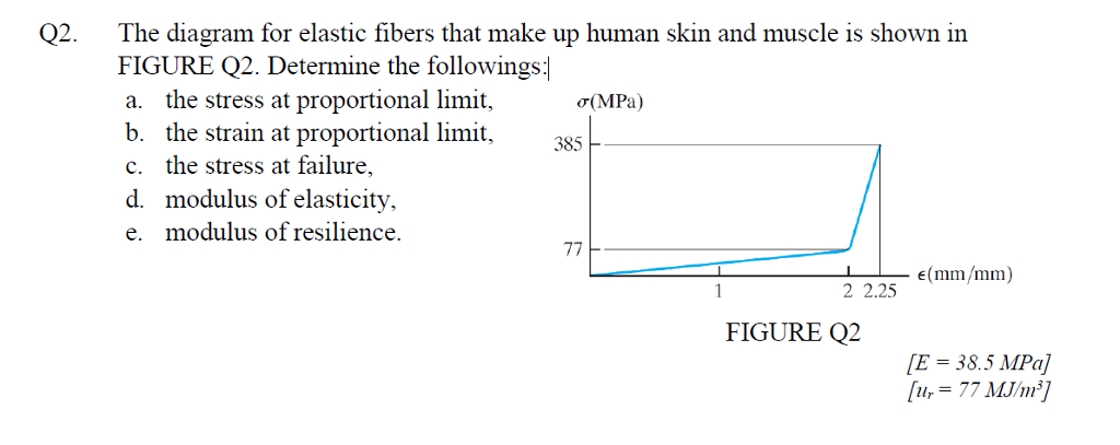 Solved The diagram for elastic fibers that make up human | Chegg.com