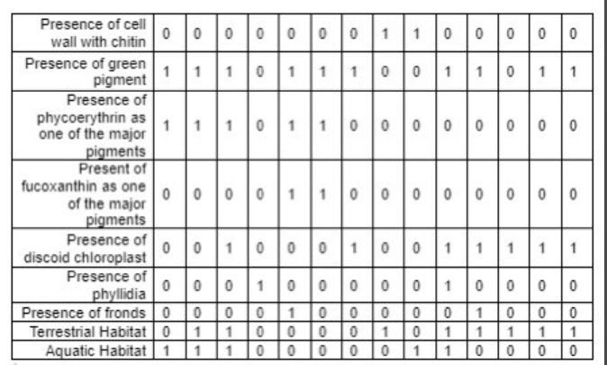 \begin{tabular}{|r|l|l|l|l|l|l|l|l|l|l|l|l|l|l|} | Chegg.com