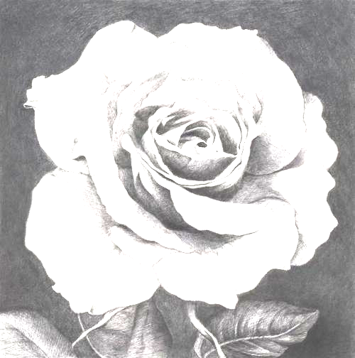 Solved Implement histogram equalization on those three | Chegg.com