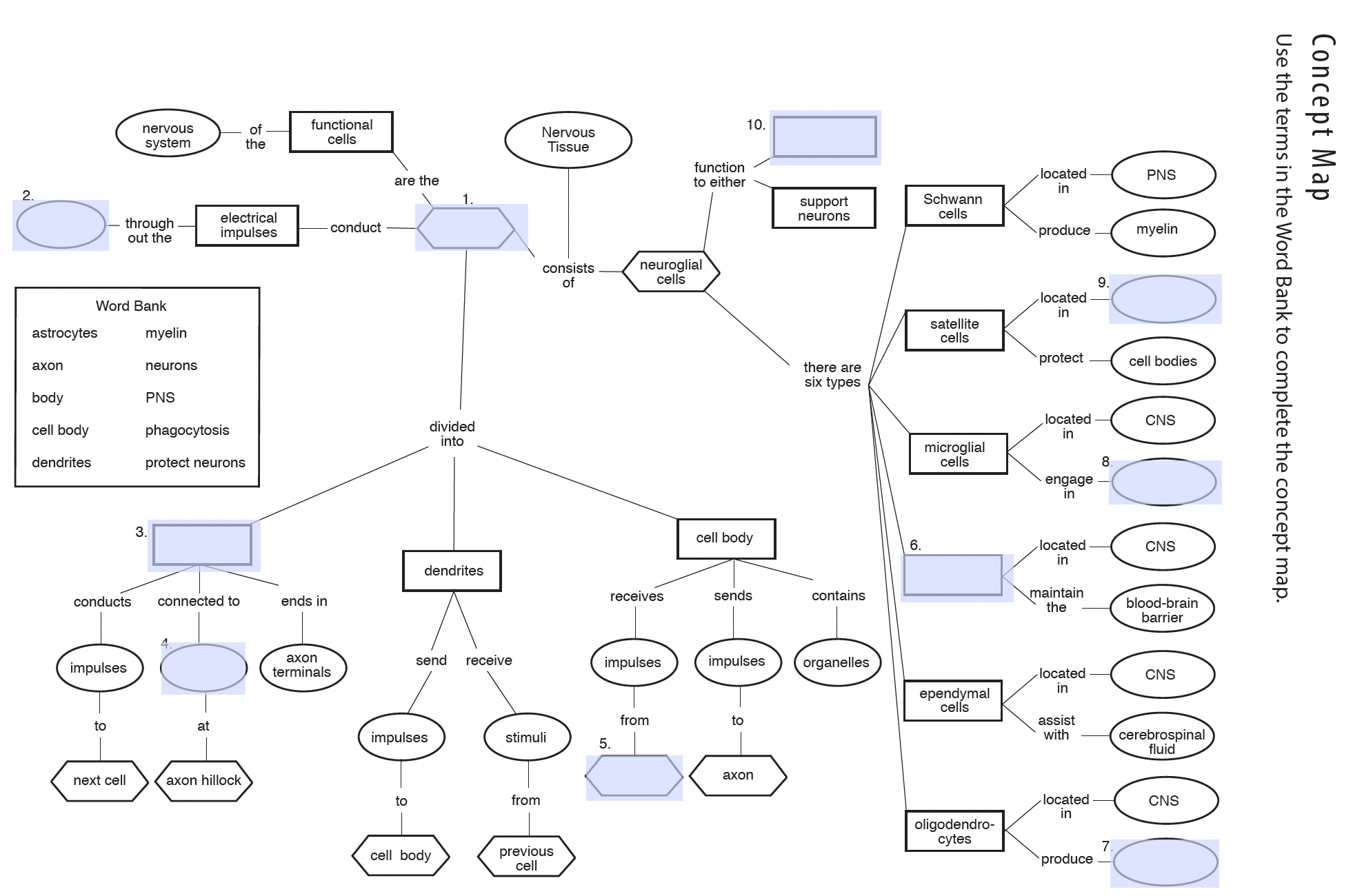 Solved please complete the concept map by filling it in. | Chegg.com