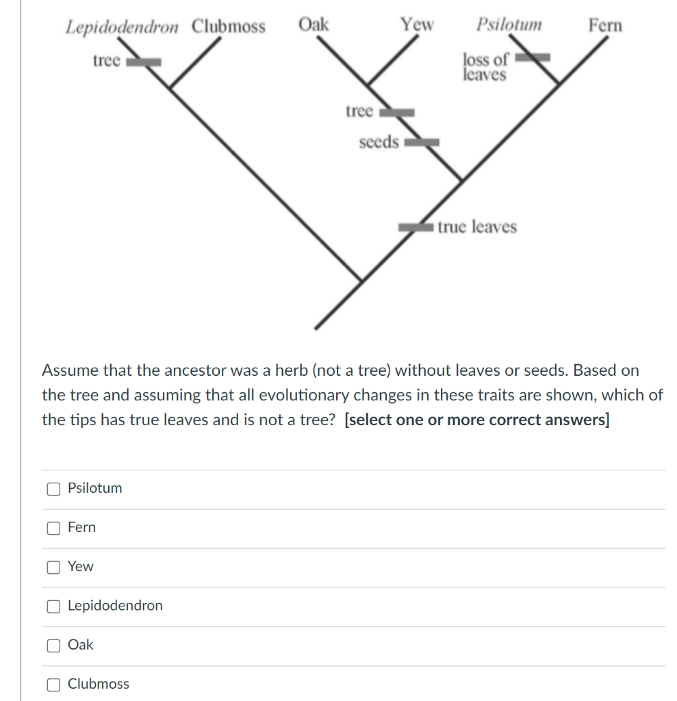 Solved Assume that the ancestor was a herb (not a tree) | Chegg.com