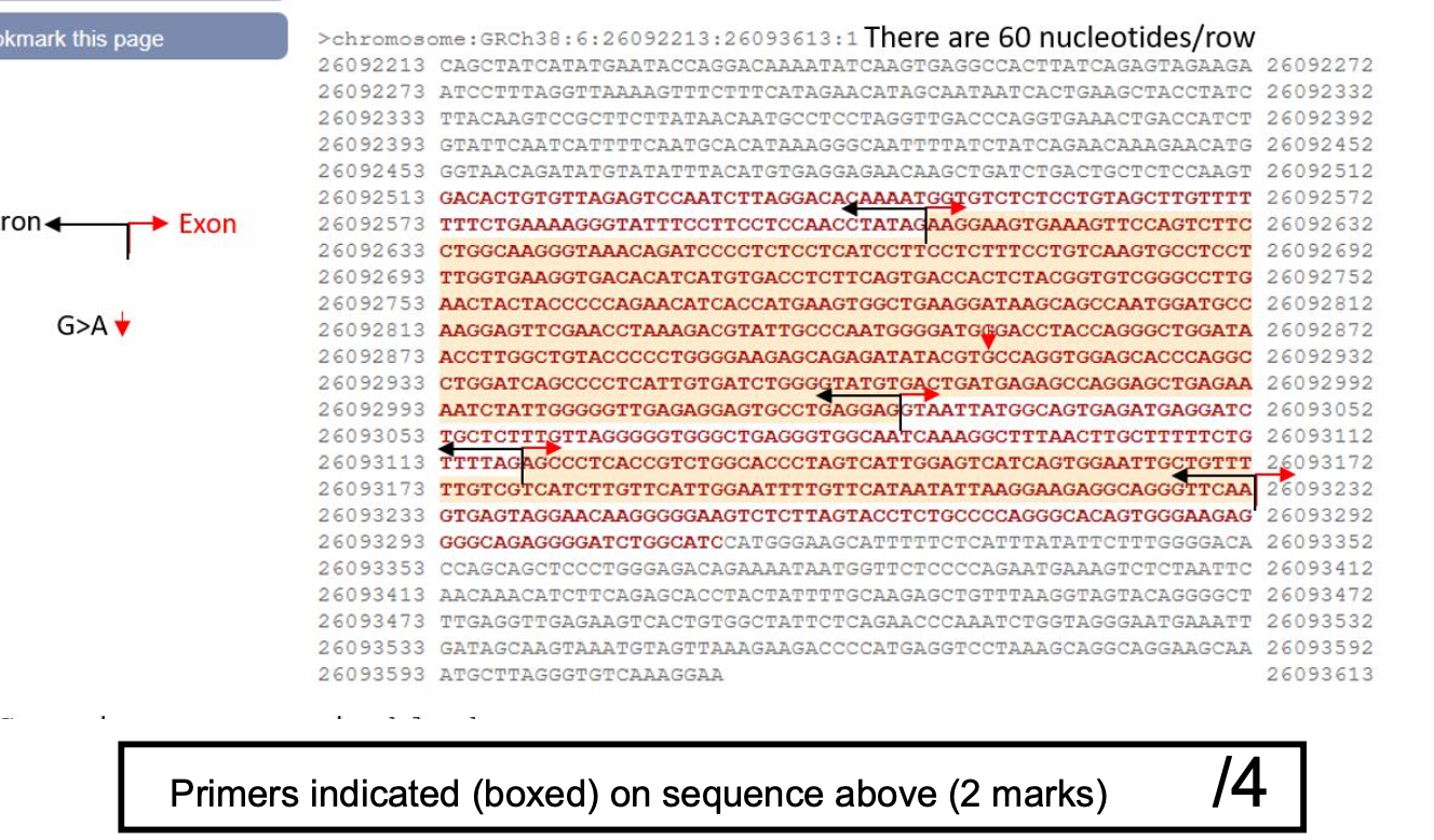 Solved Indicate the restriction enzyme consensus (underline) | Chegg.com