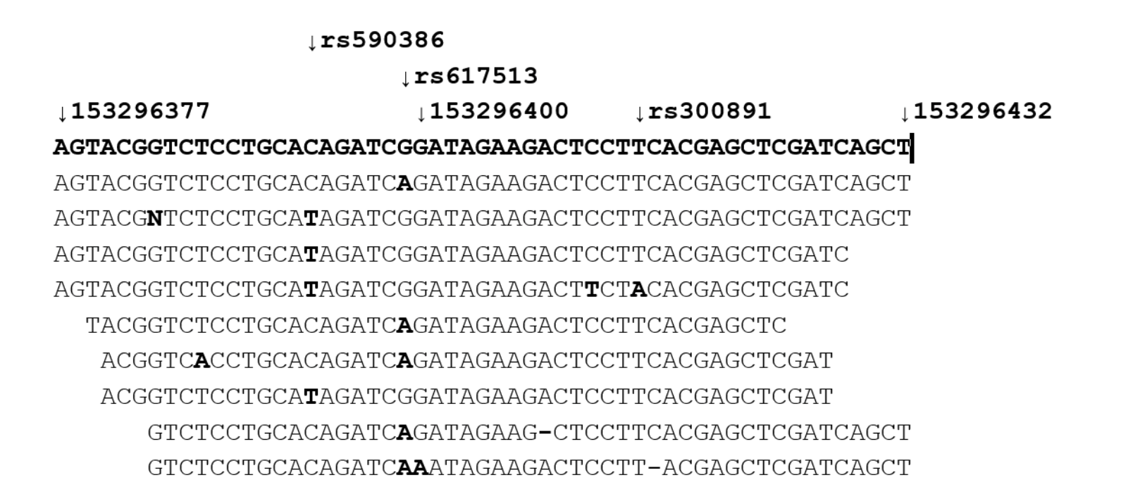 Solved The coordinates of this locus on the Hg19 human | Chegg.com