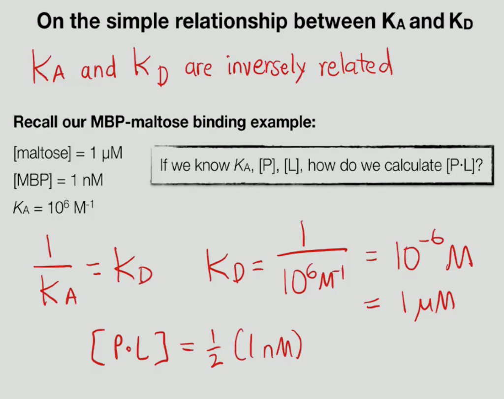 BIOCHEM: Where did the 1/2 came from? Can someone | Chegg.com