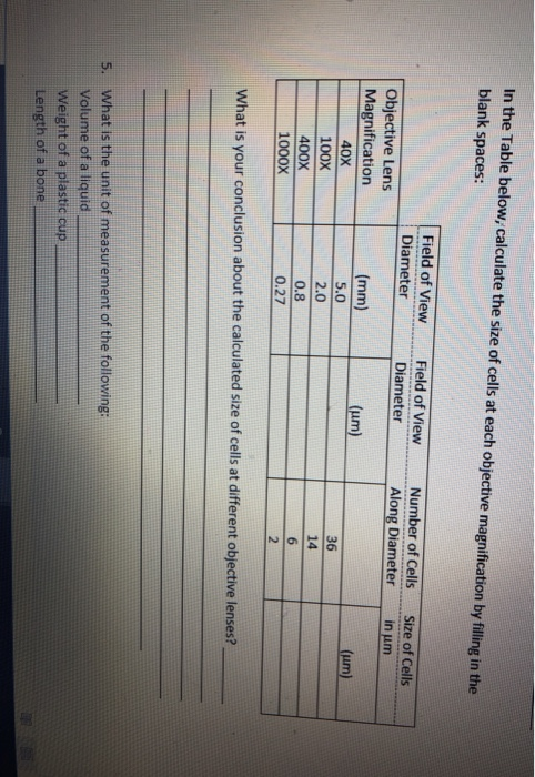 Solved In the Table below, calculate the size of cells at | Chegg.com