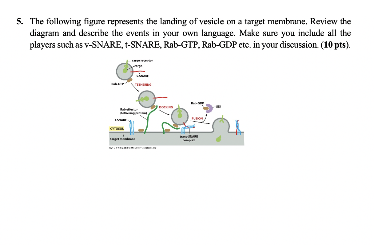 Solved 5. The following figure represents the landing of | Chegg.com