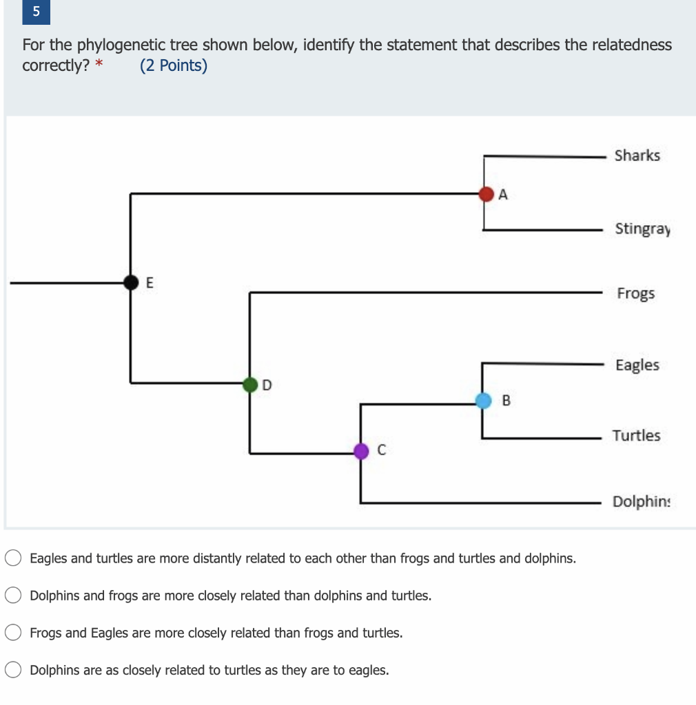Solved For the phylogenetic tree shown below, which of the | Chegg.com