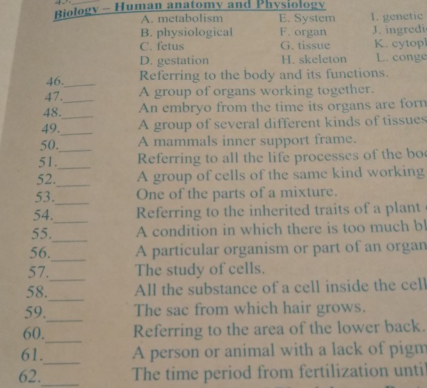 Solved Biology Human Anatomy And Physiology Test 4 1 Chegg Solved Biology Human Anatomy And Physiology Test 4 1 Chegg
