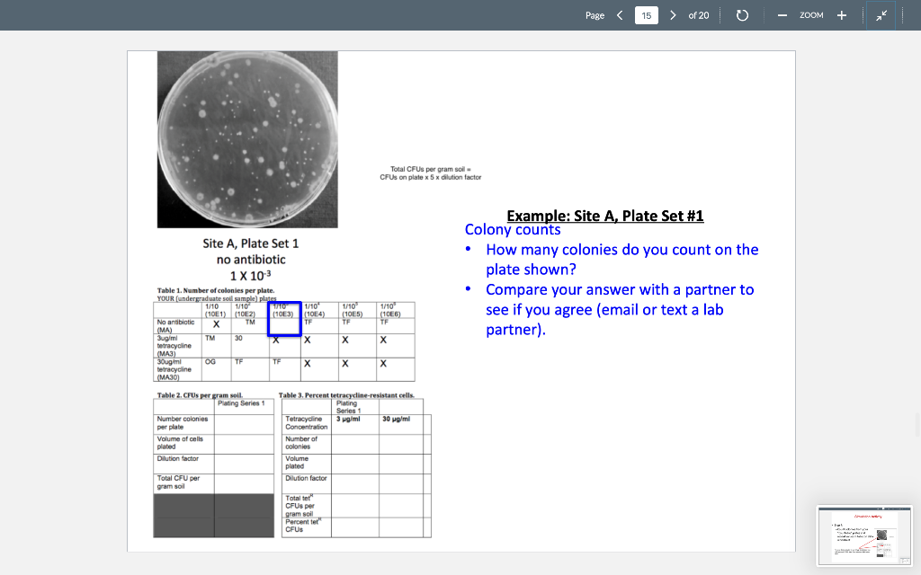 Step 4: count colonies from "countable" plates For | Chegg.com