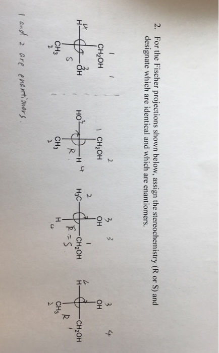 Solved For the Fischer projections shown below, assign the | Chegg.com