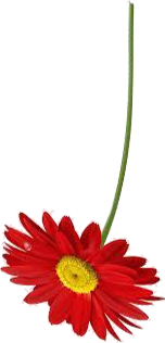 Solved Fix python code below: import pygame from sys import | Chegg.com