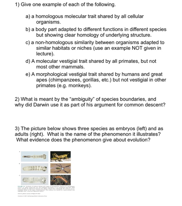 Solved 1) Give one example of each of the following. a) a | Chegg.com