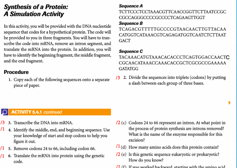 Solved Synthesis of a Protein: Sequence A A Simulation | Chegg.com