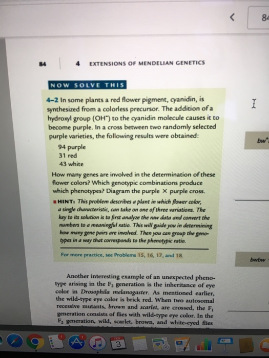 Solved 84 84 4 EXTENSIONS OF MENDELIAN GENETICS NOW SOLVE | Chegg.com