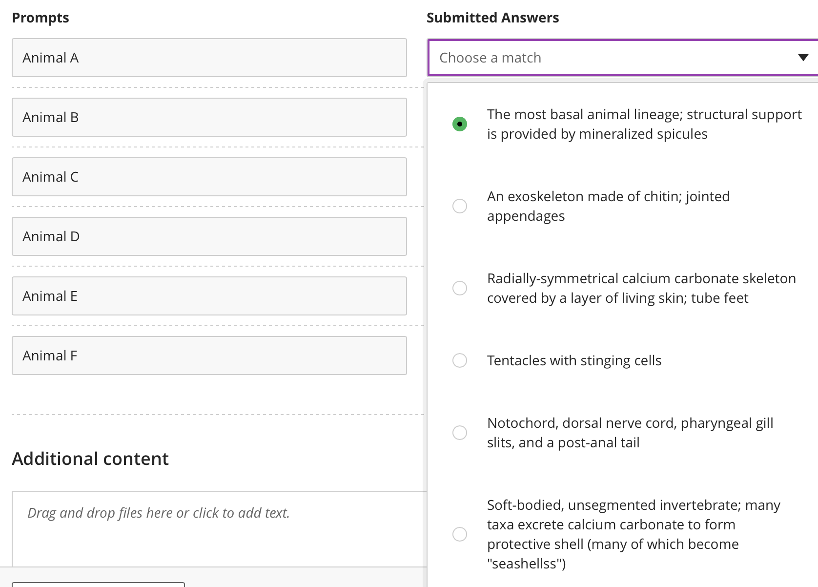 Solved Submitted Answers The most basal animal lineage; | Chegg.com