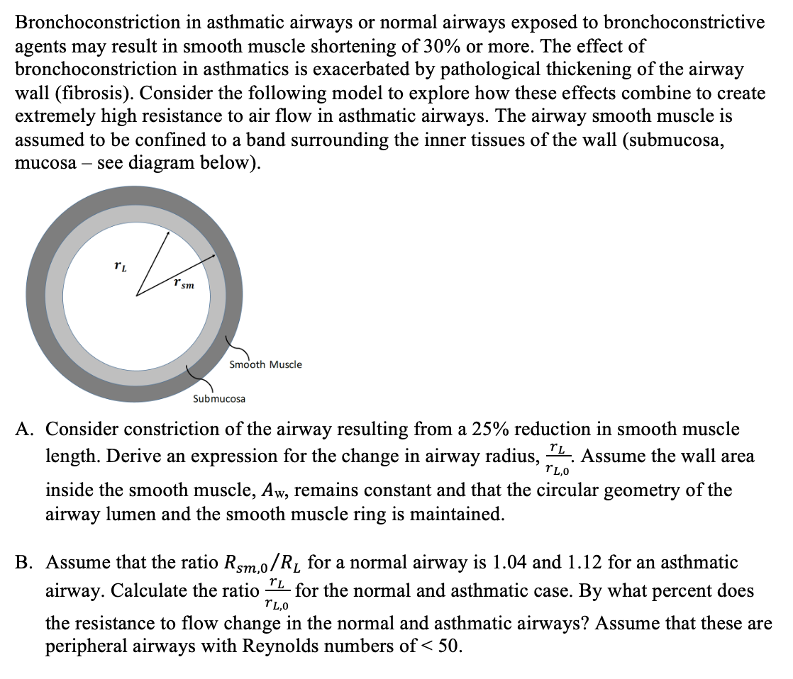 Solved Bronchoconstriction in asthmatic airways or normal | Chegg.com